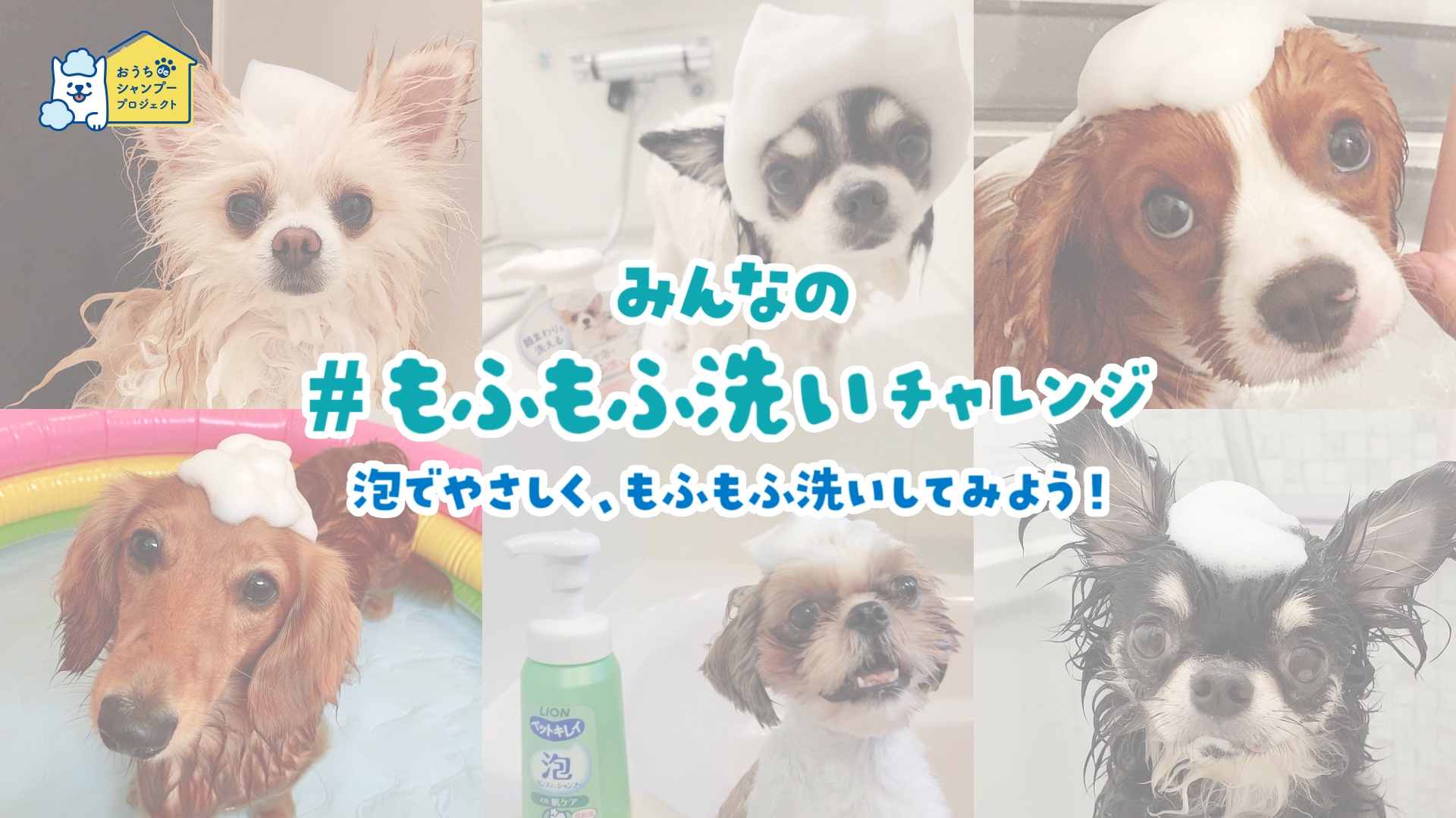 WORKS | UZU inc. | 株式会社UZU