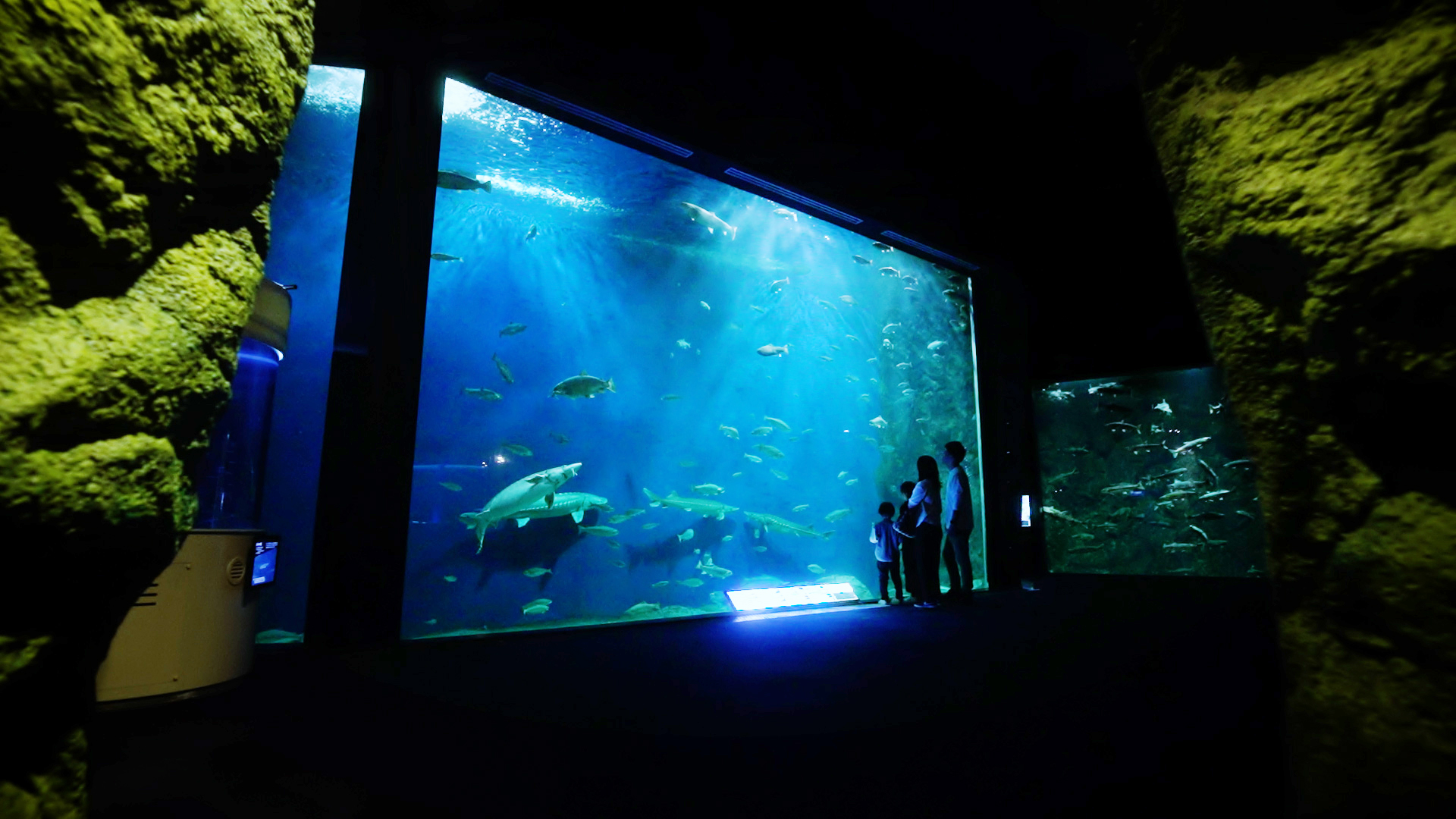 UZU INC. | 株式会社UZU